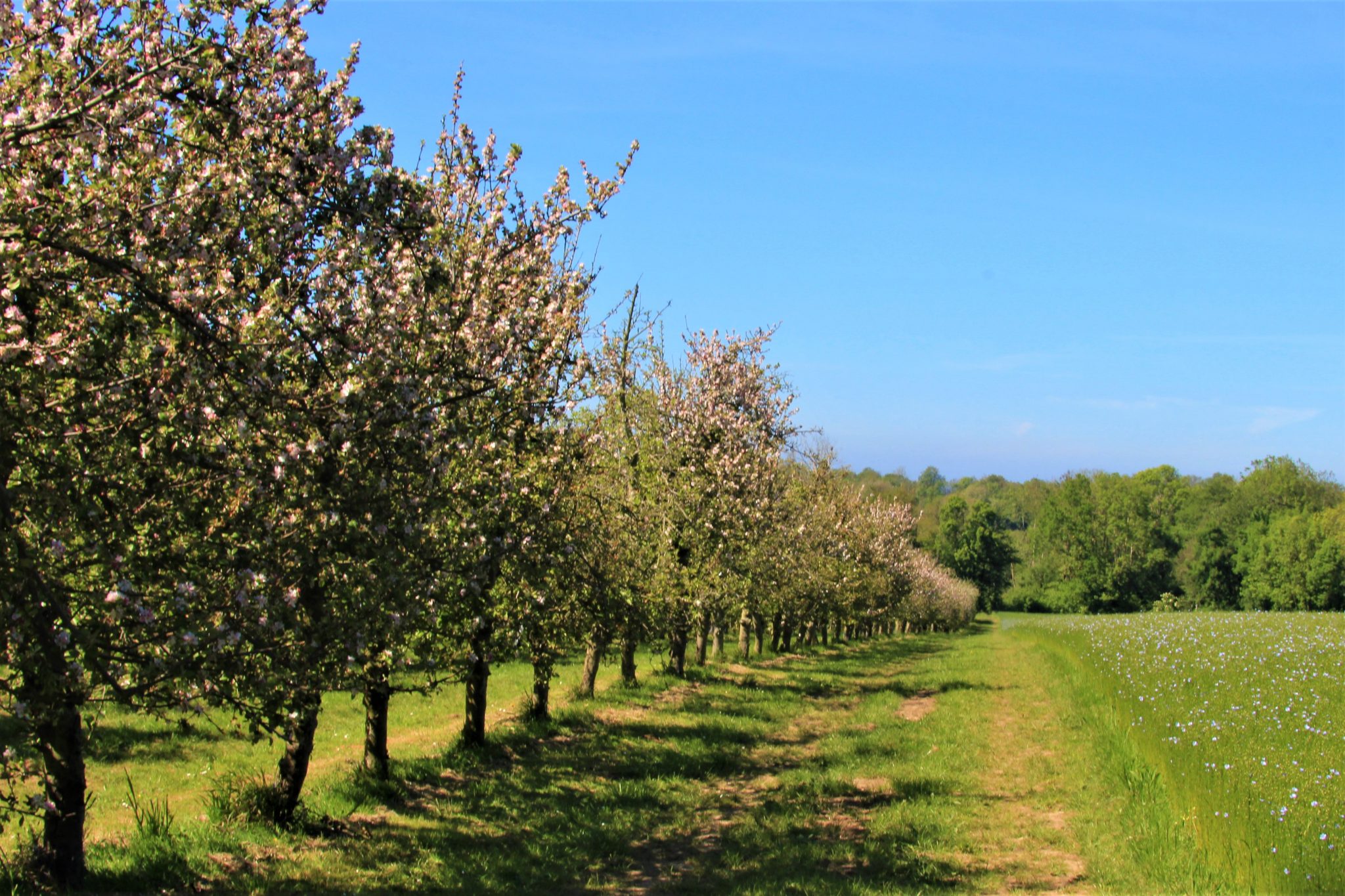 Land of nature - Cœur de Nacre tourisme
