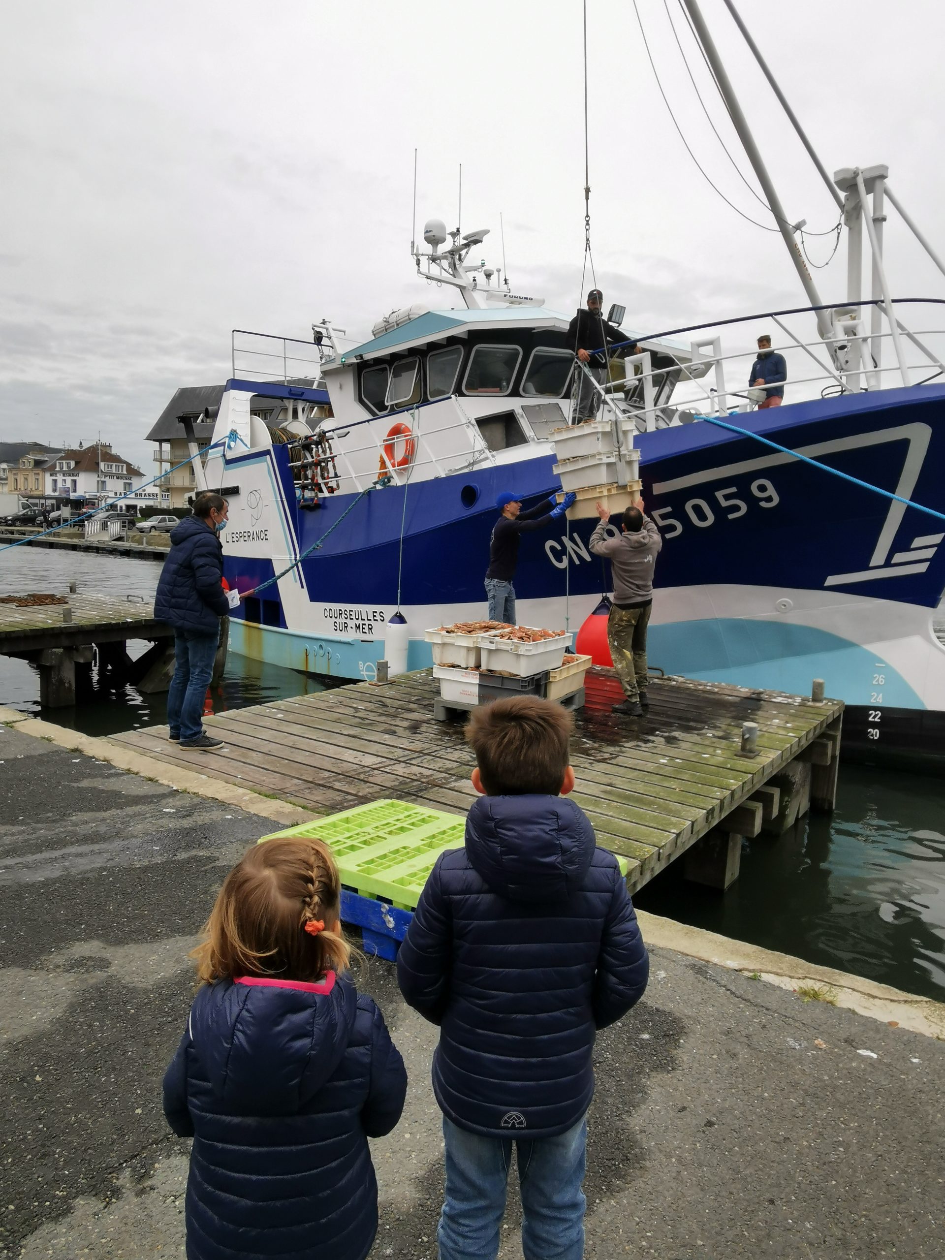 La coquille Saint-Jacques de Normandie, de la mer à l'assiette ...