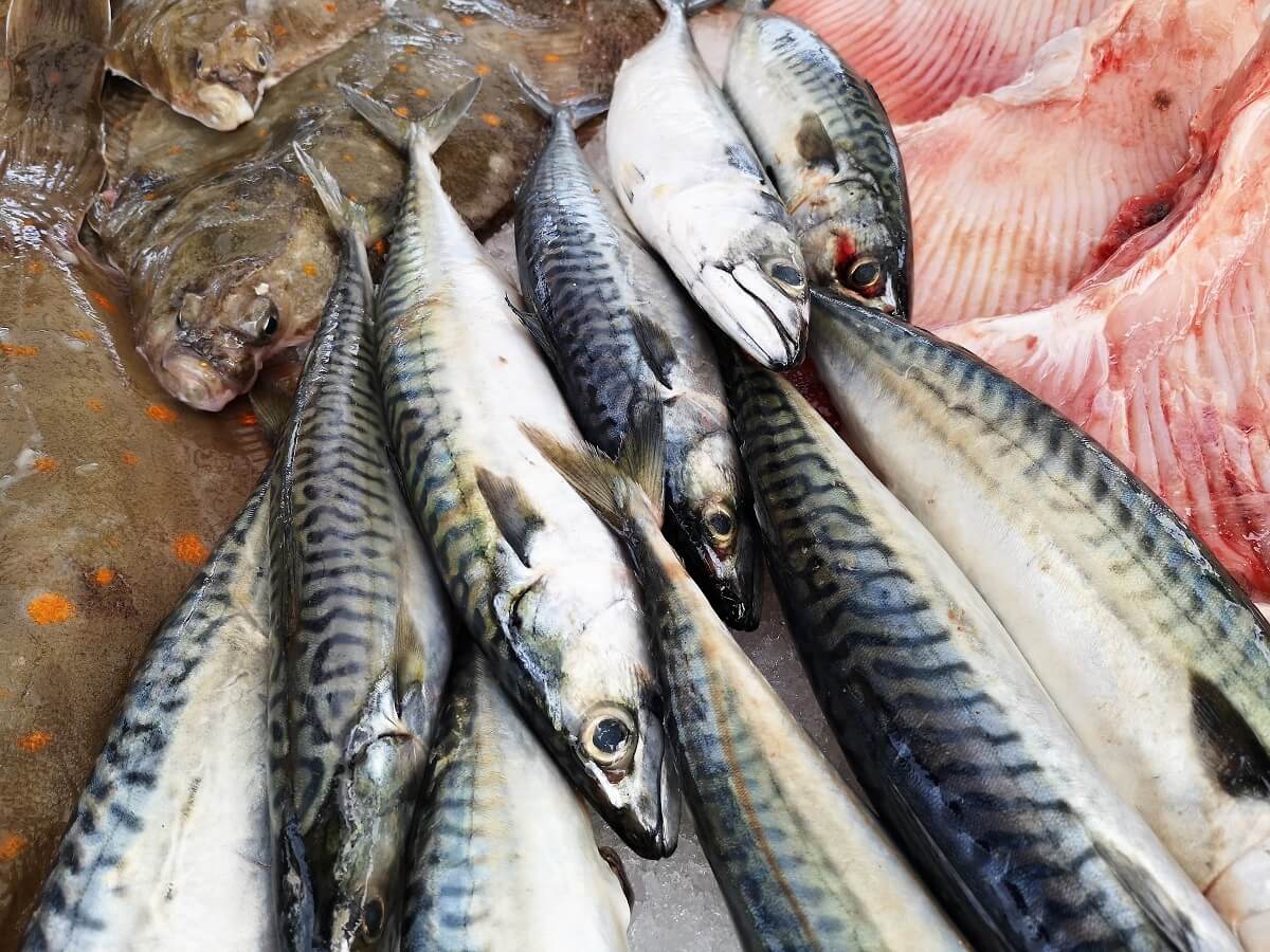 Le marché aux poissons de Courseulles-sur-Mer, fraîcheur et circuit ...