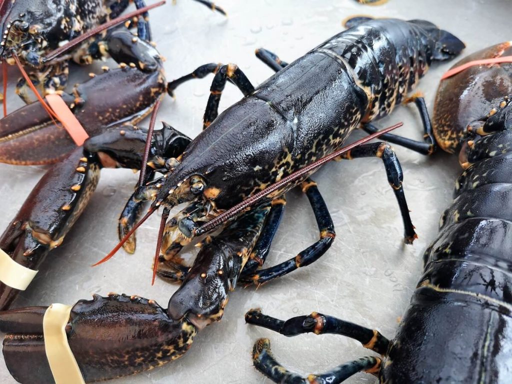 Le marché aux poissons de Courseulles-sur-Mer, fraîcheur et circuit ...